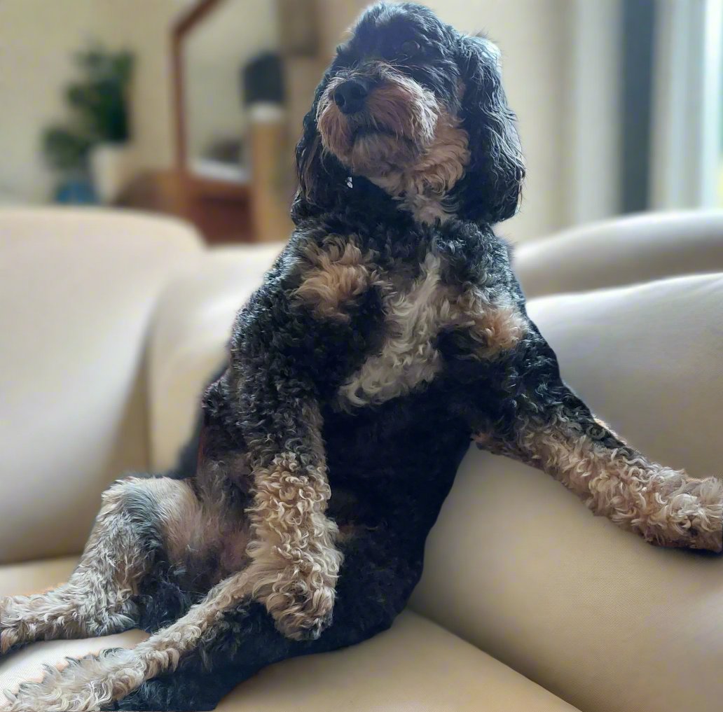 Figurative crowds paintings and art prints by UK artist McBride. – Neil ...